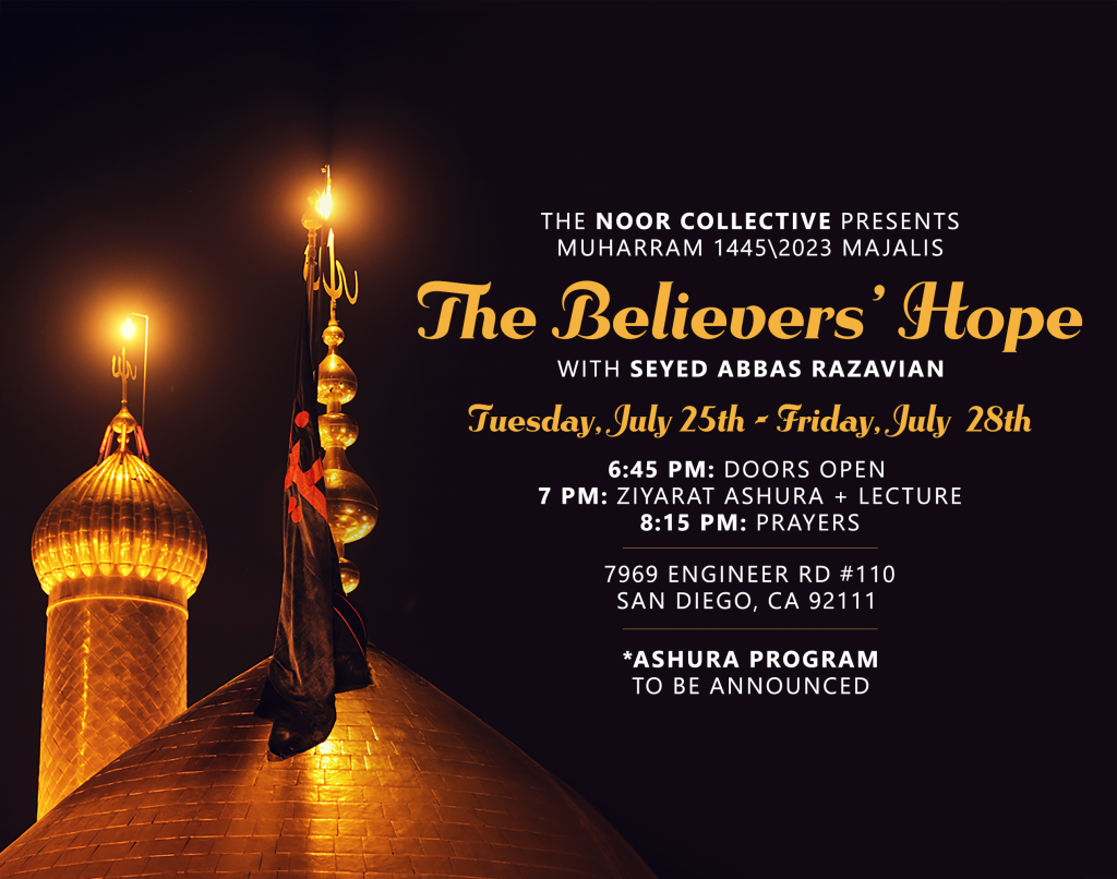 [Muharram] Sayed Abbas Razavian - The Believers' Hope - Noor Collective ...
